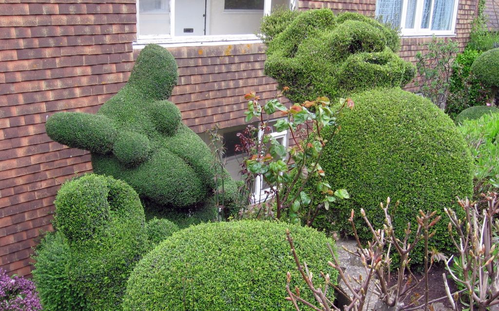 Cloud pruned hedges & topiary fun – Herbidacious