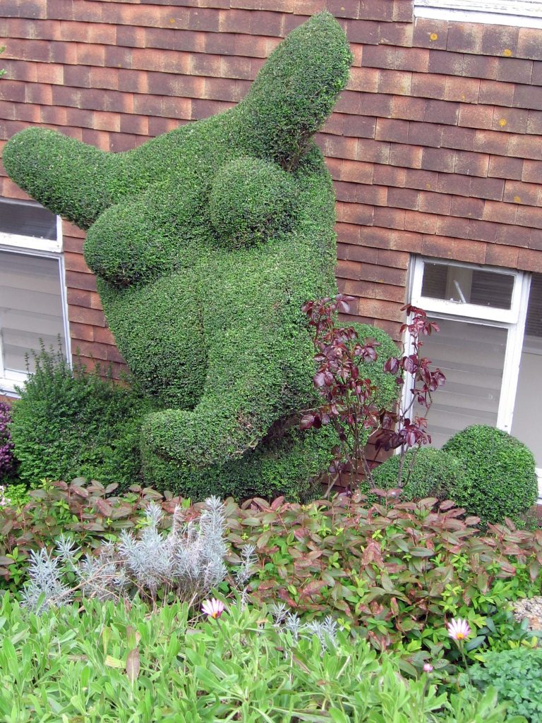 Cloud pruned hedges & topiary fun – Herbidacious
