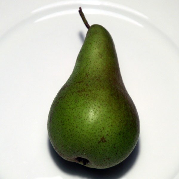 pear-close-up – Herbidacious