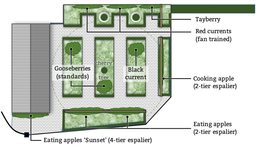 The Woodland Permaculture Fruit Garden – Herbidacious