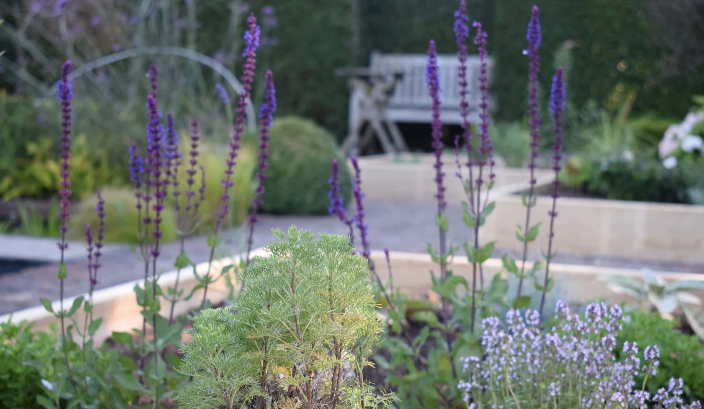 the New Pond Garden Planting – Herbidacious