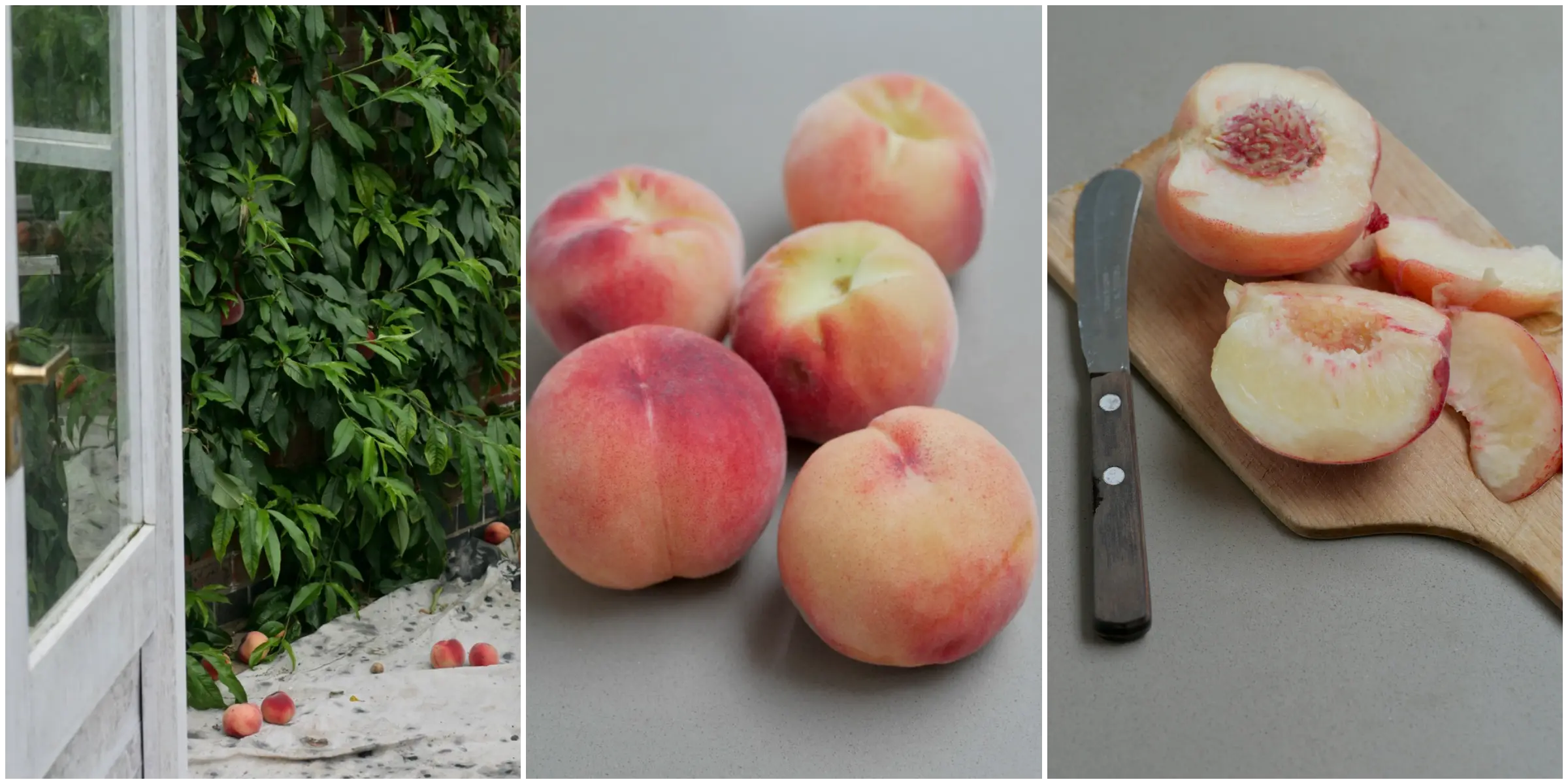 Greenhouse Peach – UFO & ABC Training – Herbidacious