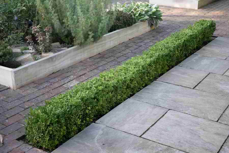 Is this the end of Garden box? – Herbidacious