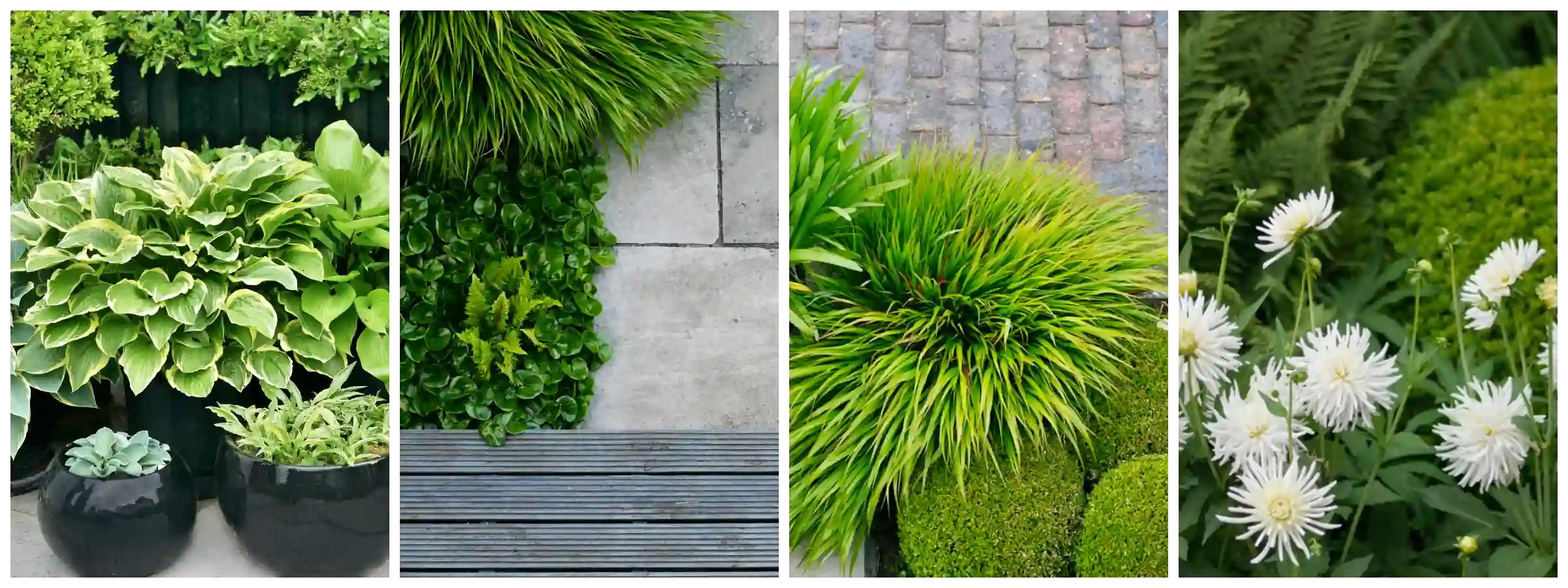 Constraint, Repetition and Variation in Garden Design – Herbidacious