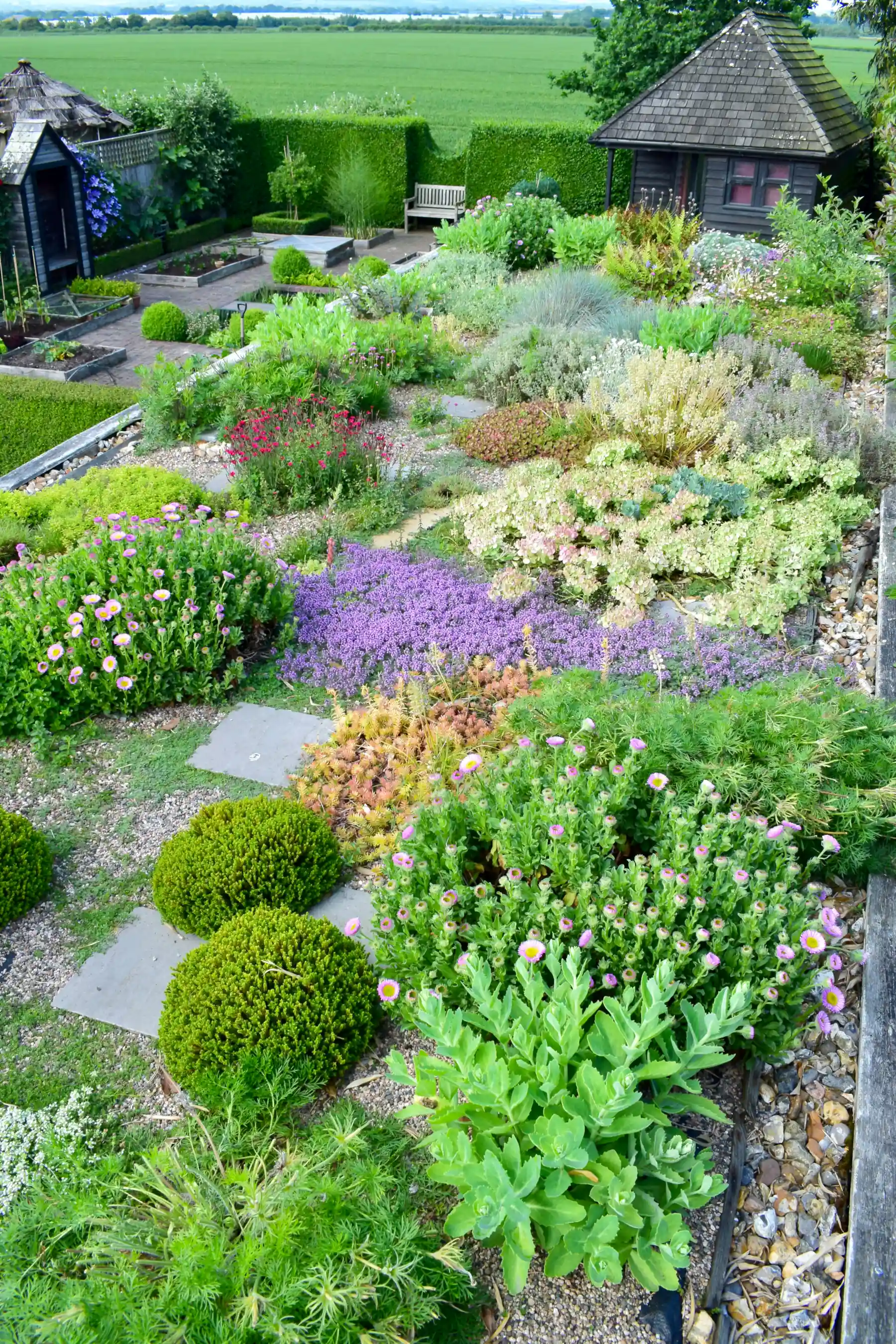 Green roof plants store