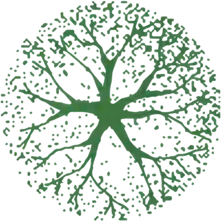 Constraint, Repetition and Variation in Garden Design – Herbidacious