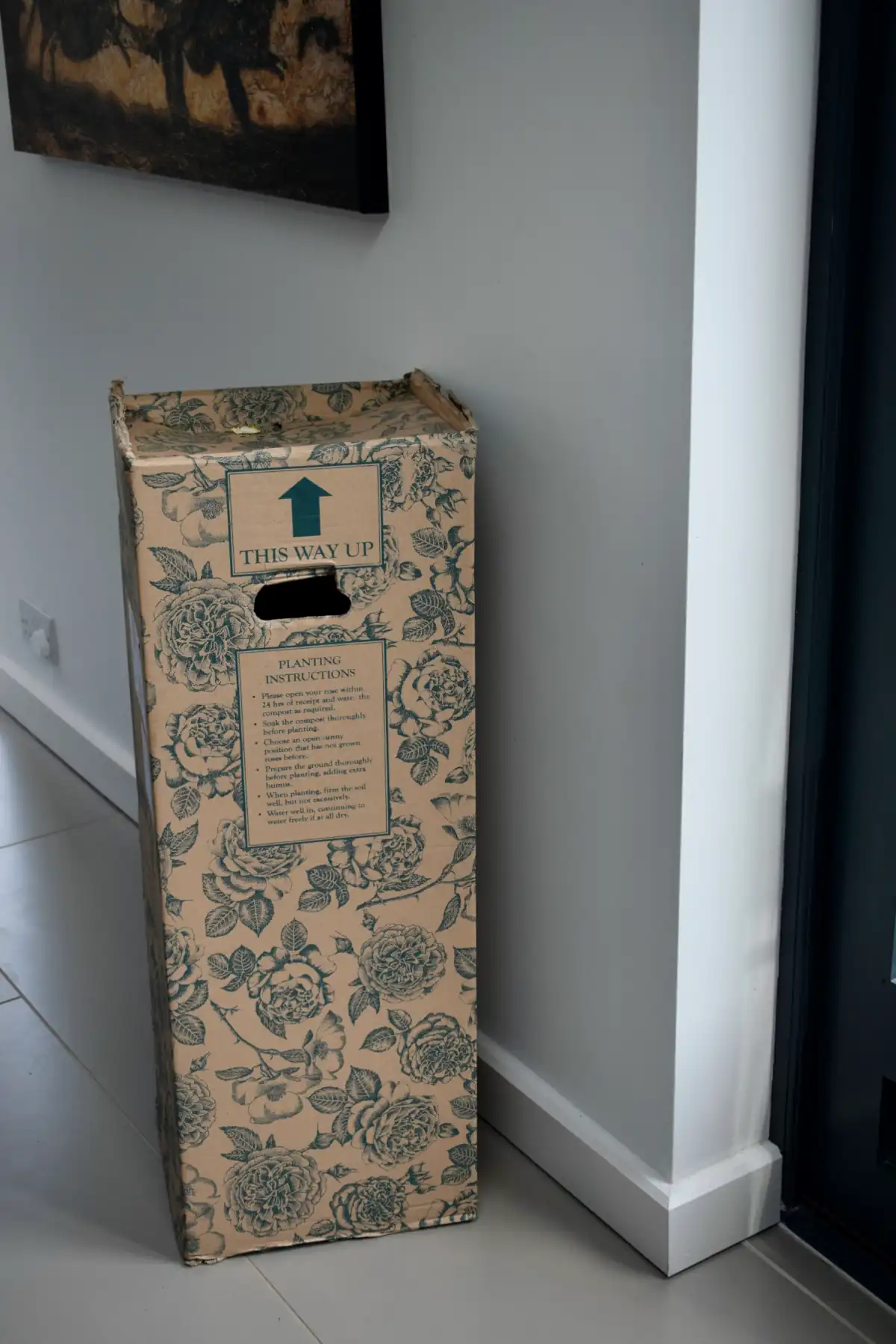 A Modern Romantic Rose Garden – Herbidacious