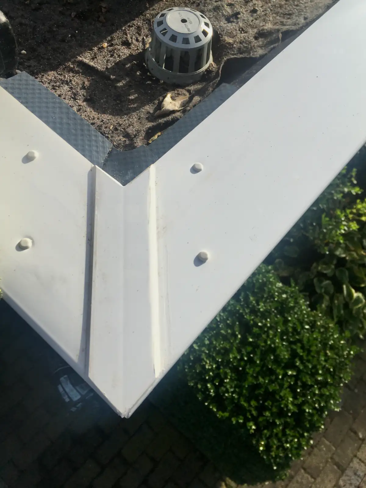 Renovating the Green Roof (2023) – Herbidacious