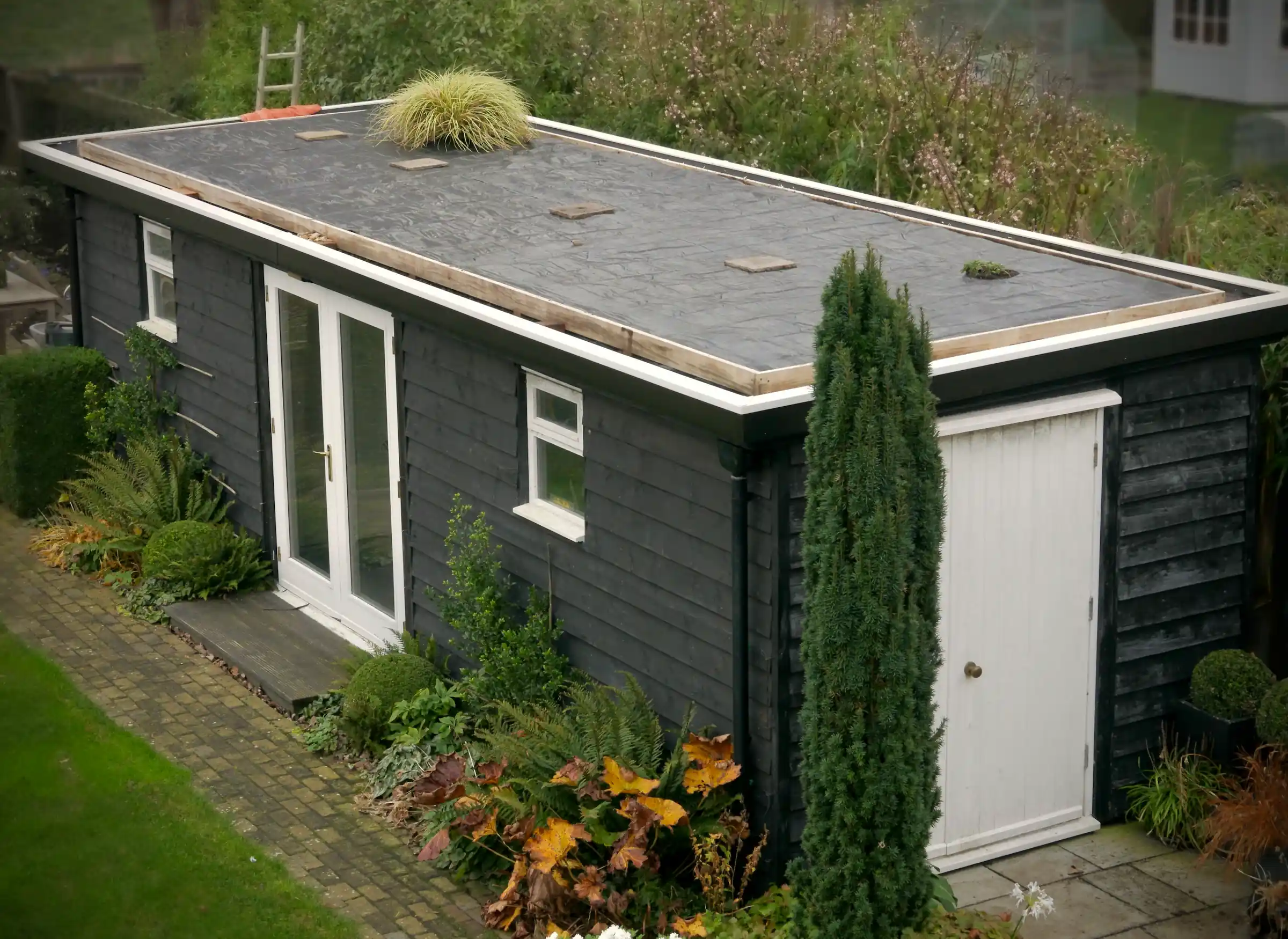 Renovating the Green Roof (2023) – Herbidacious