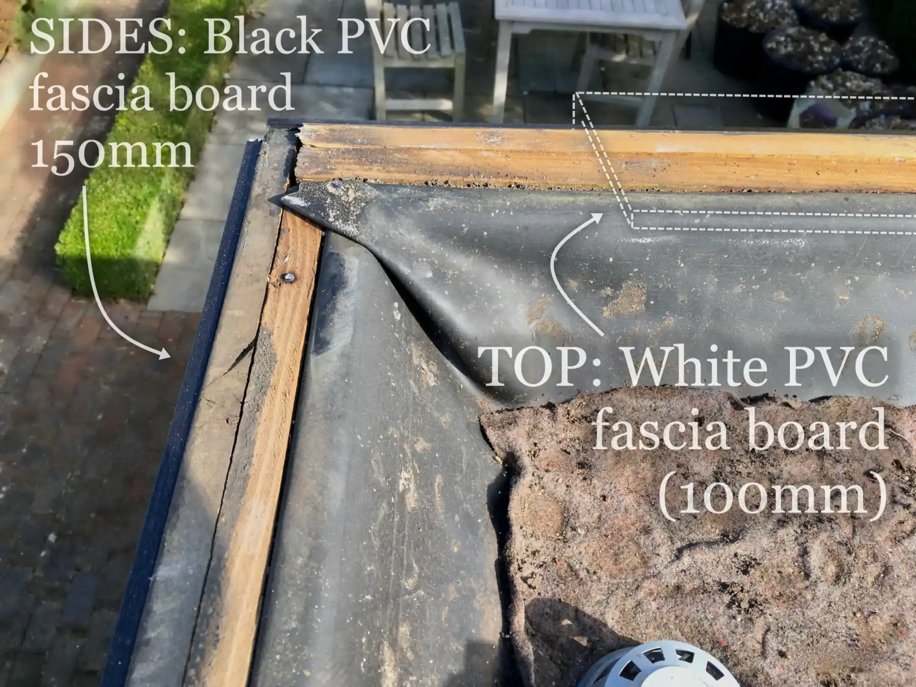 Renovating the Green Roof (2023) – Herbidacious