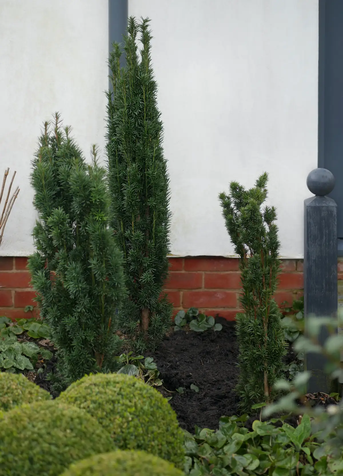 Garden diary — Spring 2024 – Herbidacious
