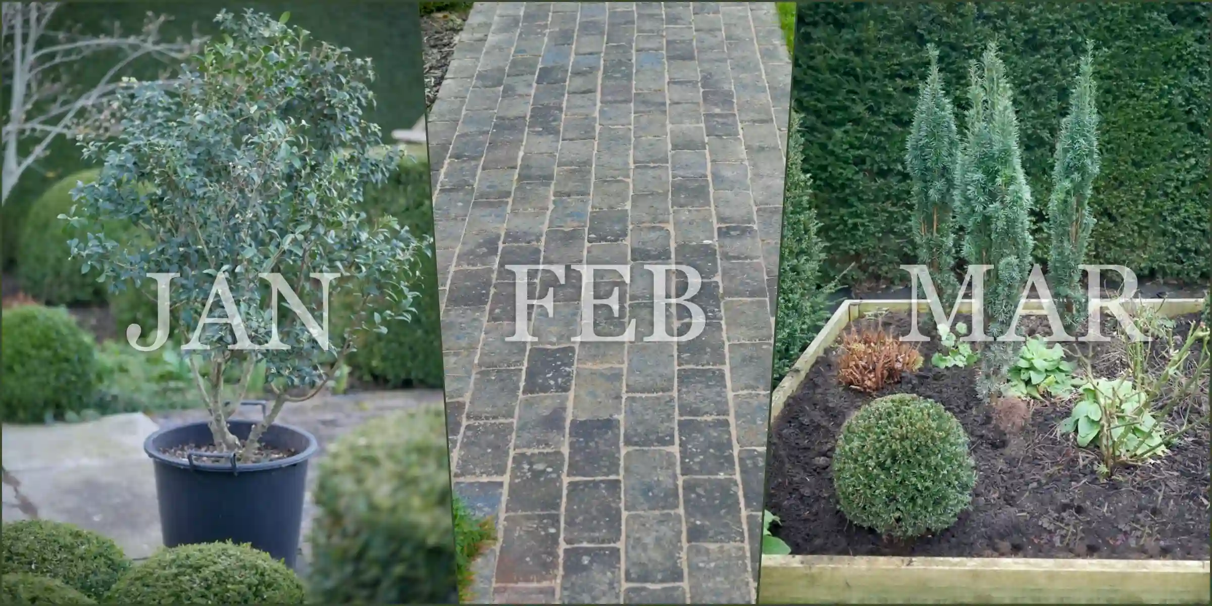 Garden diary — Spring 2024 – Herbidacious