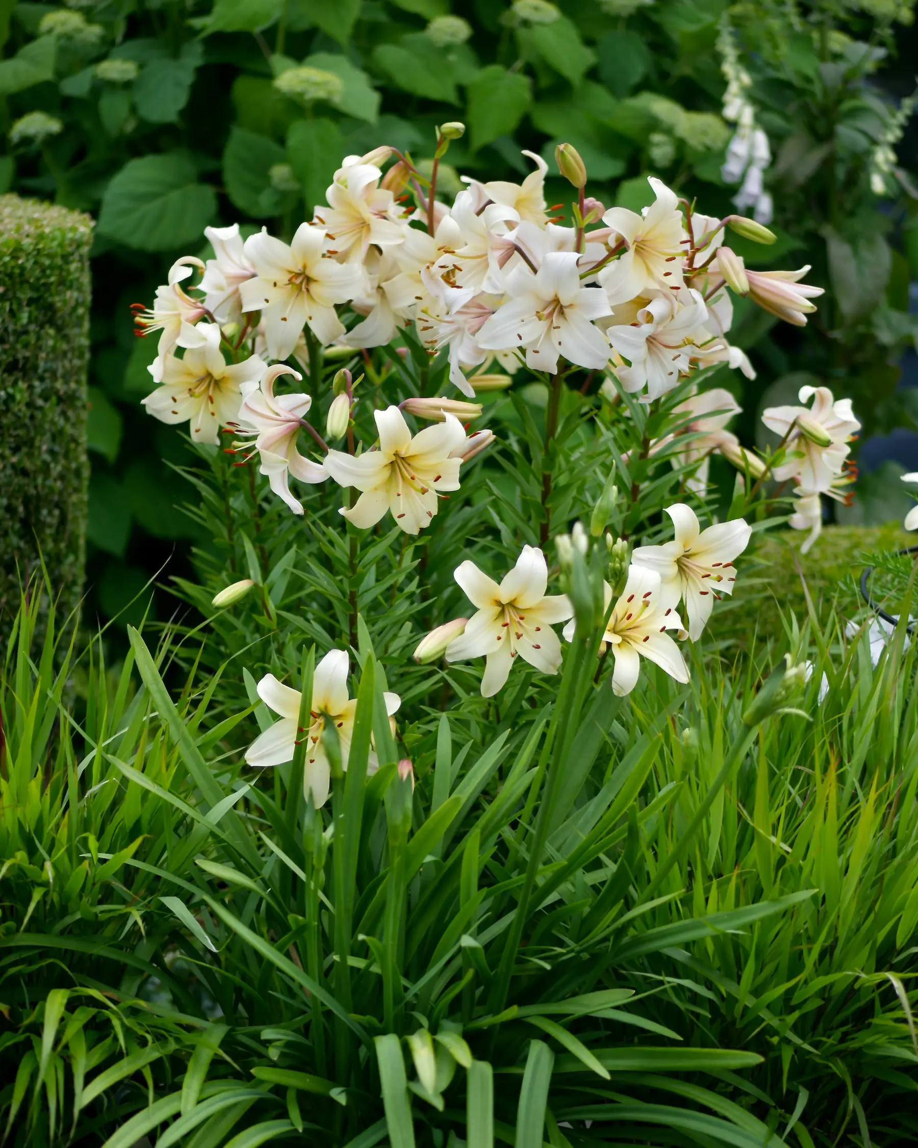 Creative Ways to Use Pots in the Garden – Herbidacious