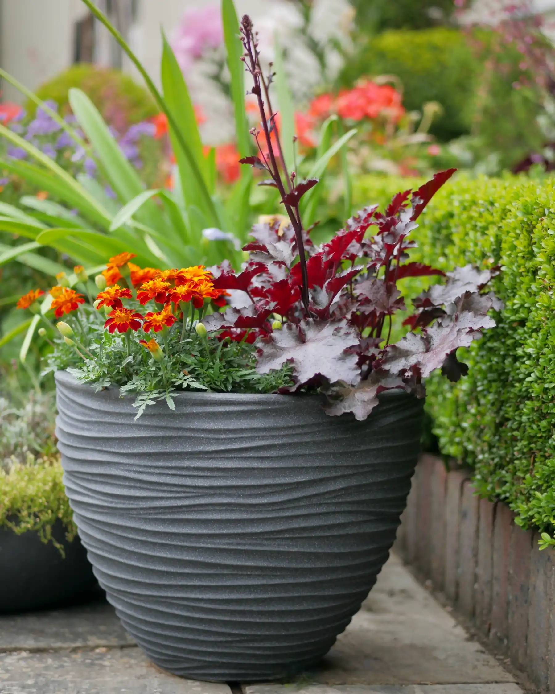 Plastic planters store