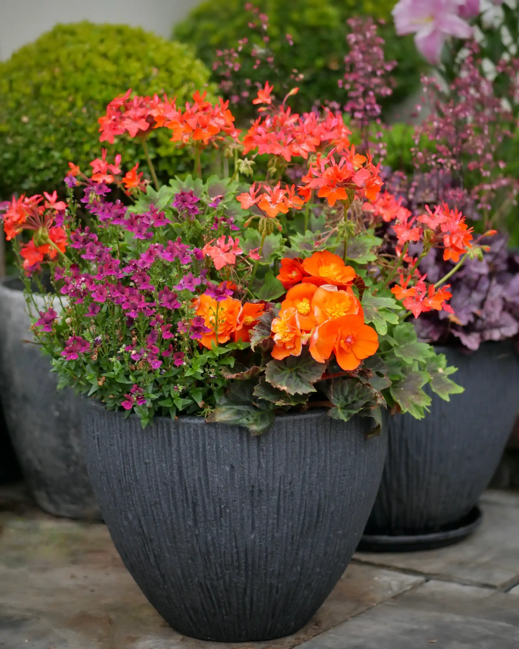 Creative Ways to Use Pots in the Garden – Herbidacious
