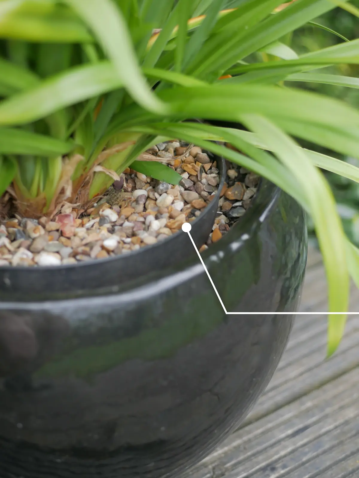 Creative Ways to Use Pots in the Garden – Herbidacious