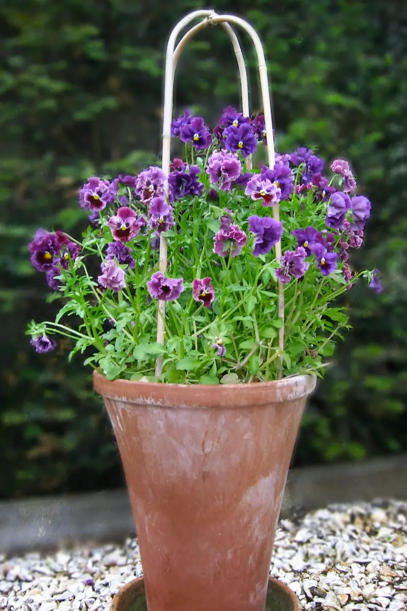 Creative Ways to Use Pots in the Garden – Herbidacious