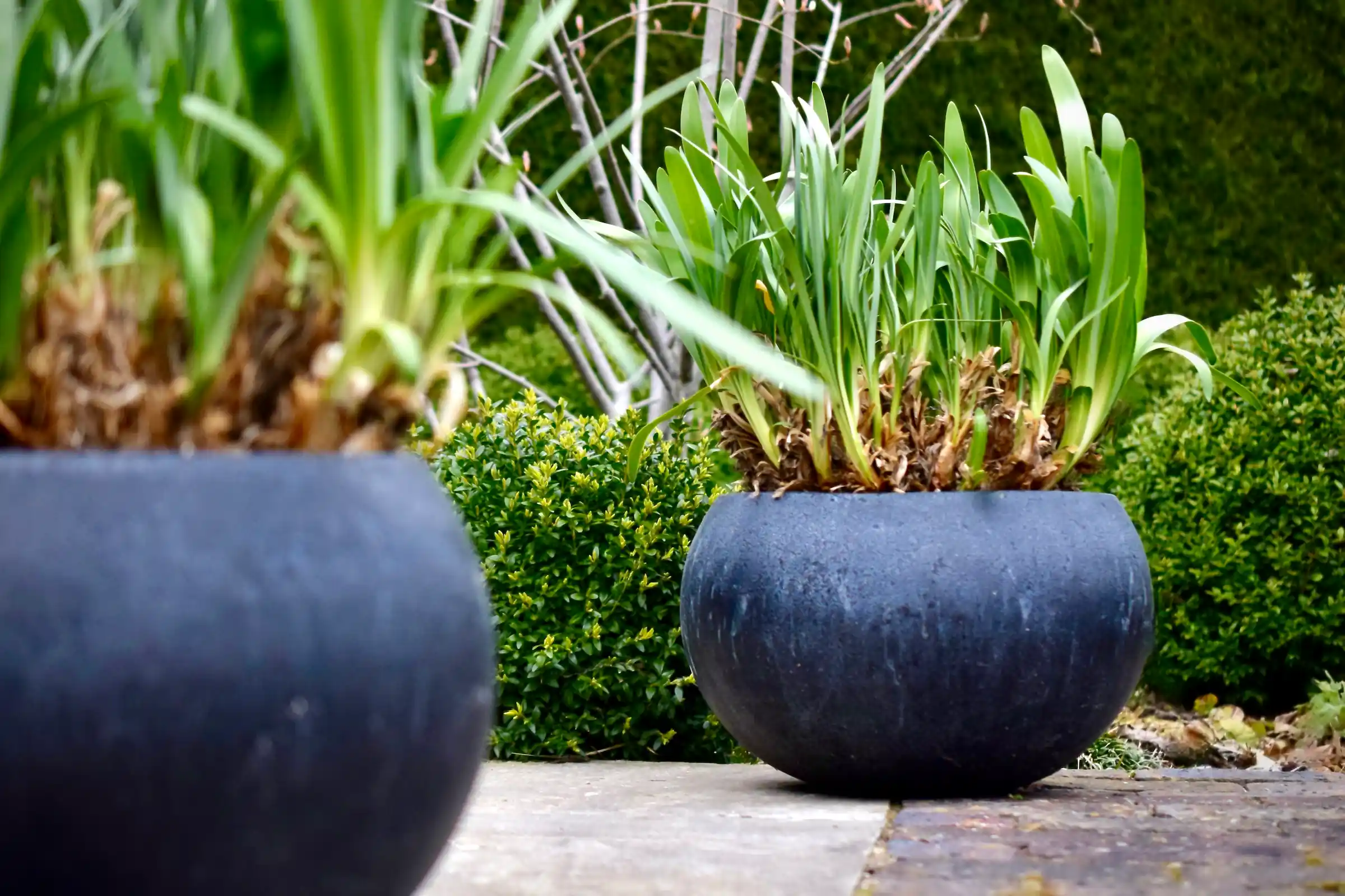 Creative Ways to Use Pots in the Garden – Herbidacious