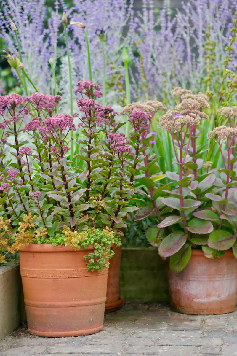 Creative Ways to Use Pots in the Garden – Herbidacious
