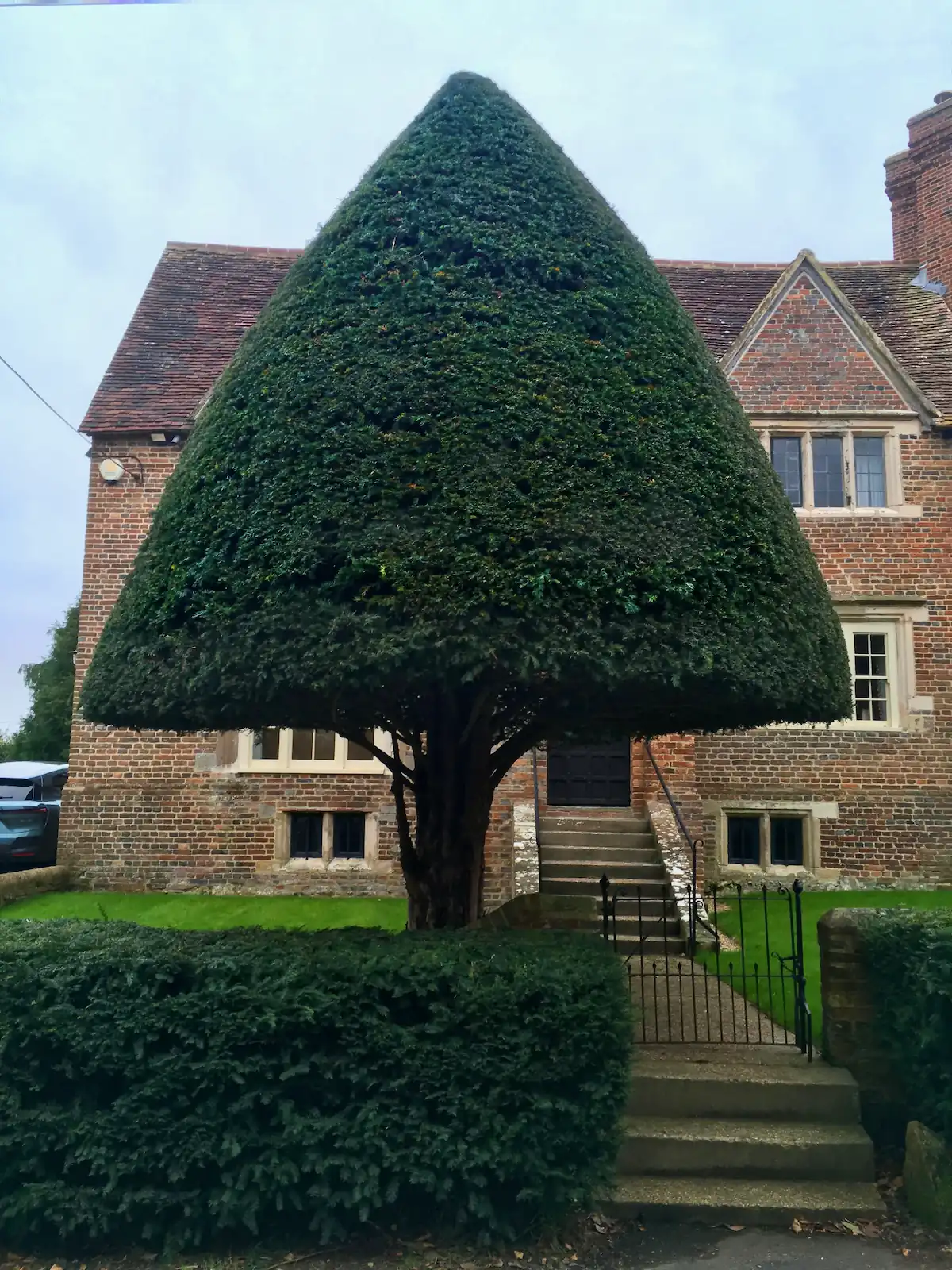 Garden Diary — Autumn/Winter 2024 – Herbidacious