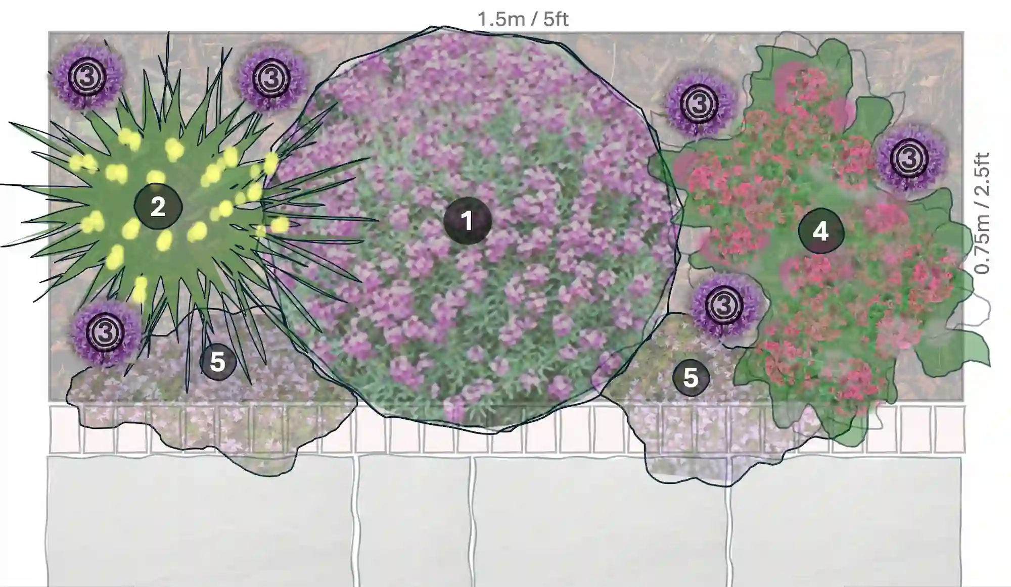Five Perennial Planting Plans That Fit in 10 sq ft – Herbidacious