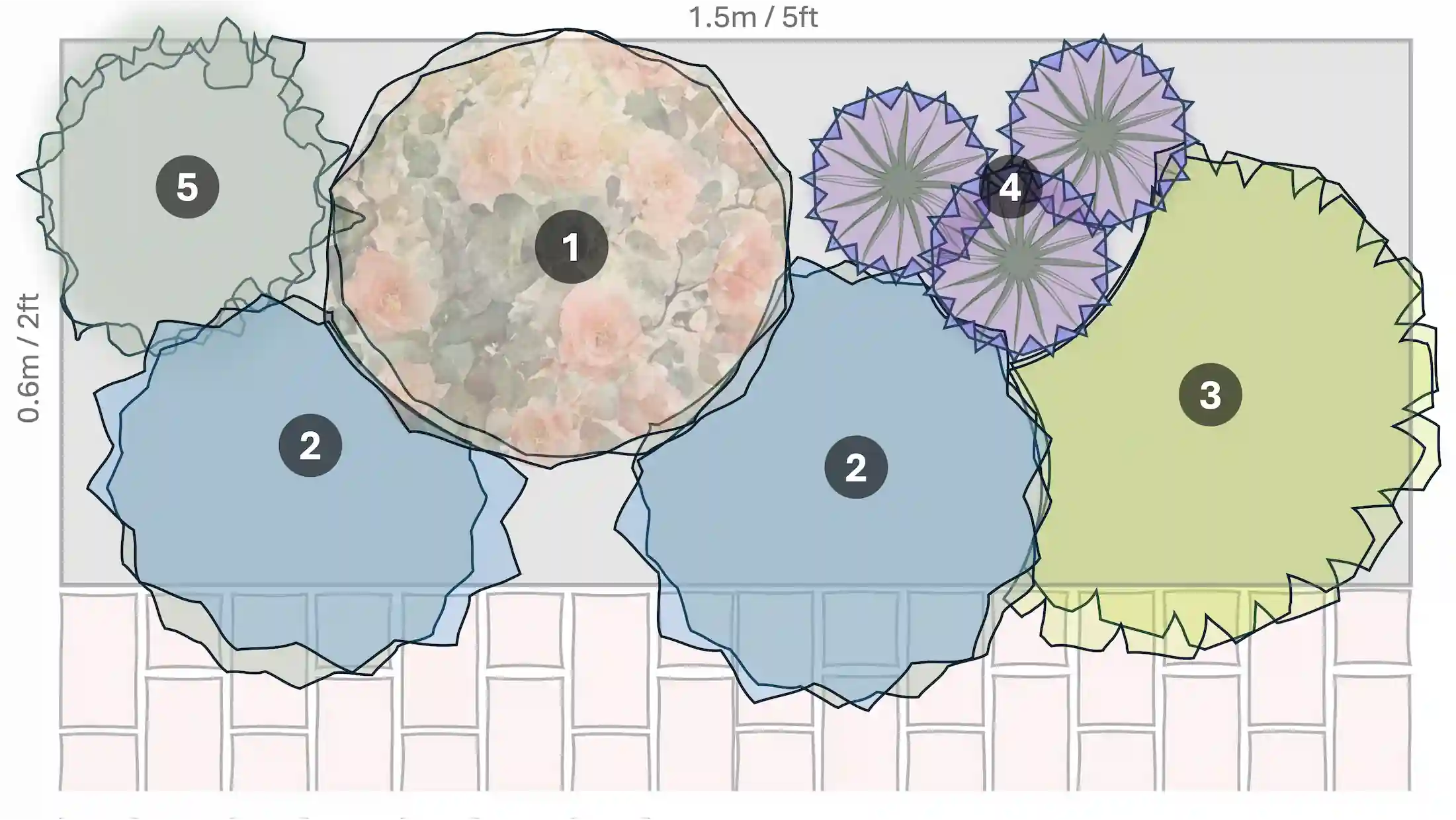 Five Perennial Planting Plans That Fit in 10 sq ft – Herbidacious