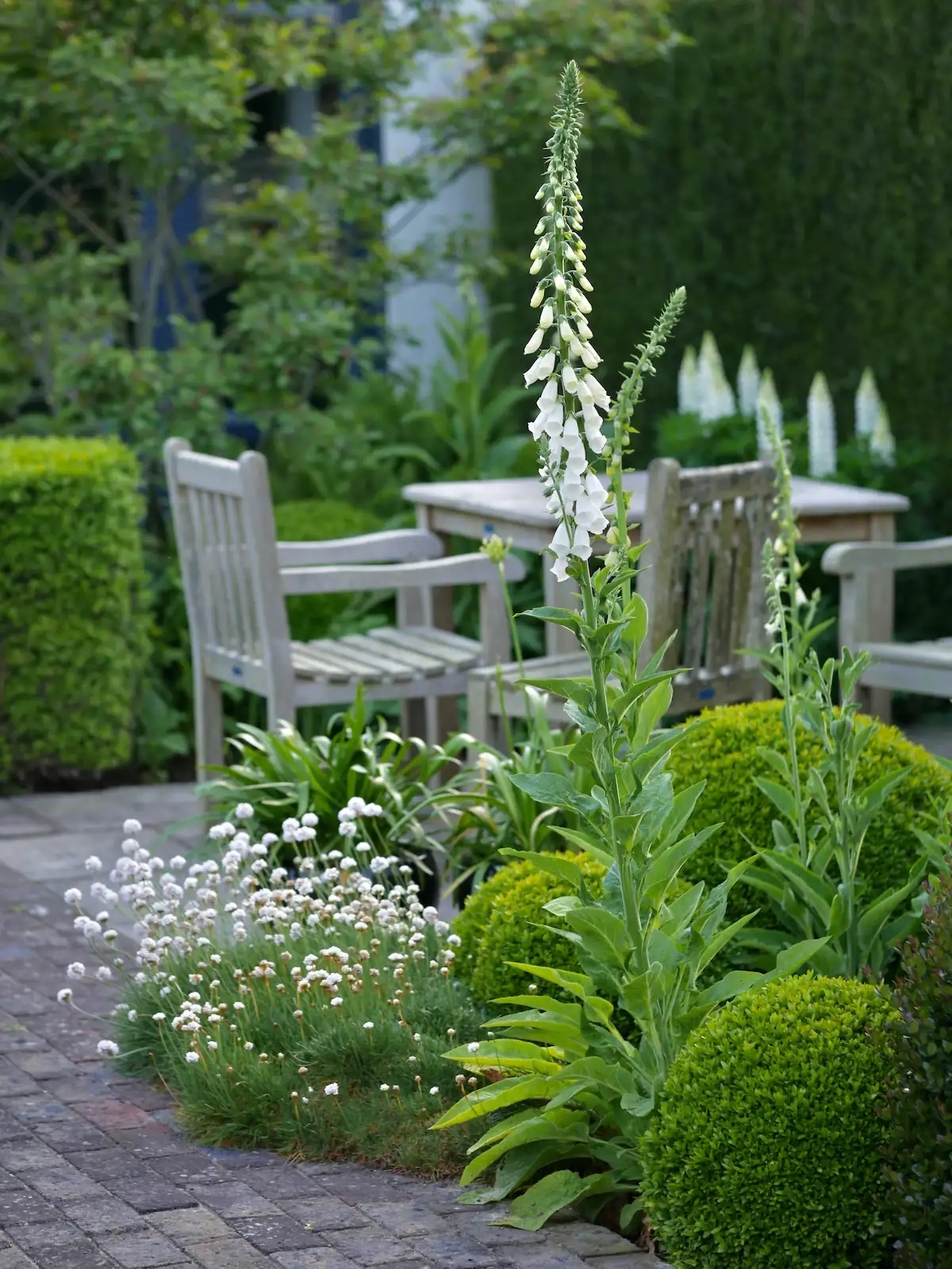 Five Perennial Planting Plans That Fit in 10 sq ft – Herbidacious